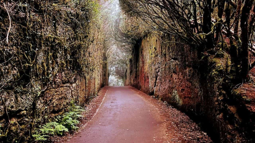 Anaga Rural Park Hiking Trails: A Guide to All of Them – Smart Travel ...